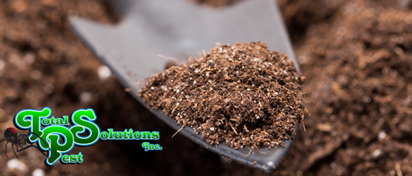 Soil Enrichment Practices You Should Know - Welcome to Total Pest ...